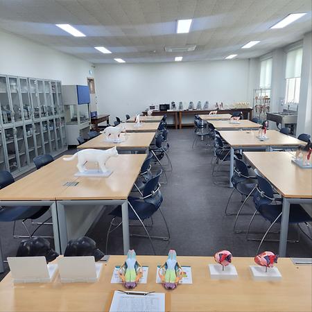 반려동물보건과